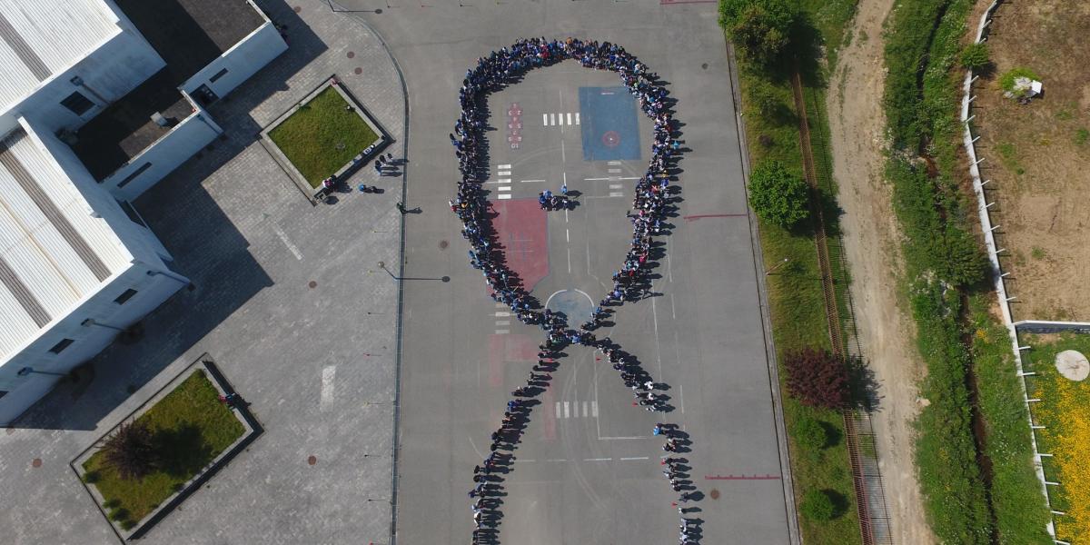 Laço Humano :: AEAAV